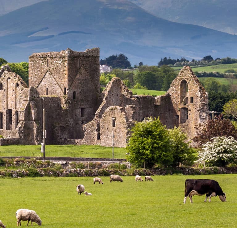 Historic Structure | Guardians of Ireland